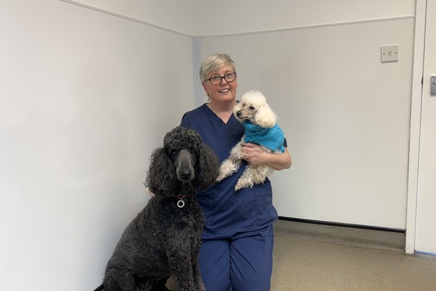 Vet in Hull The Avenues | Hull | Medivet