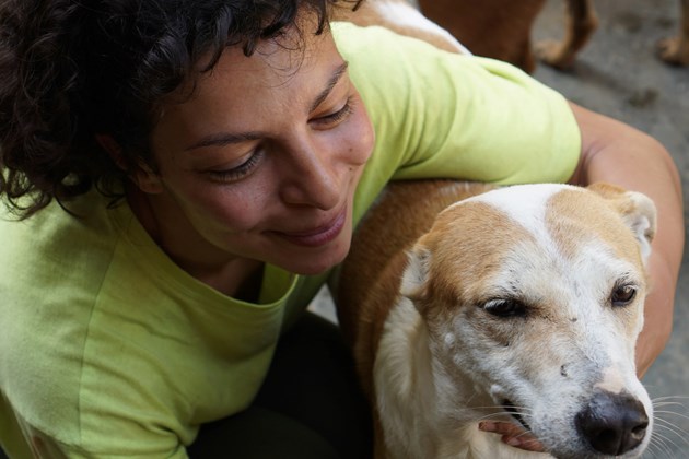 Vet in Netherfield | Nottingham Vets | Medivet