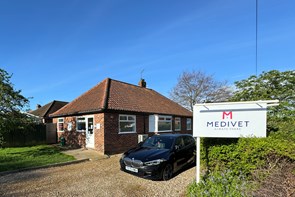 Vet in Thorpe St Andrew | Open Saturdays | Medivet