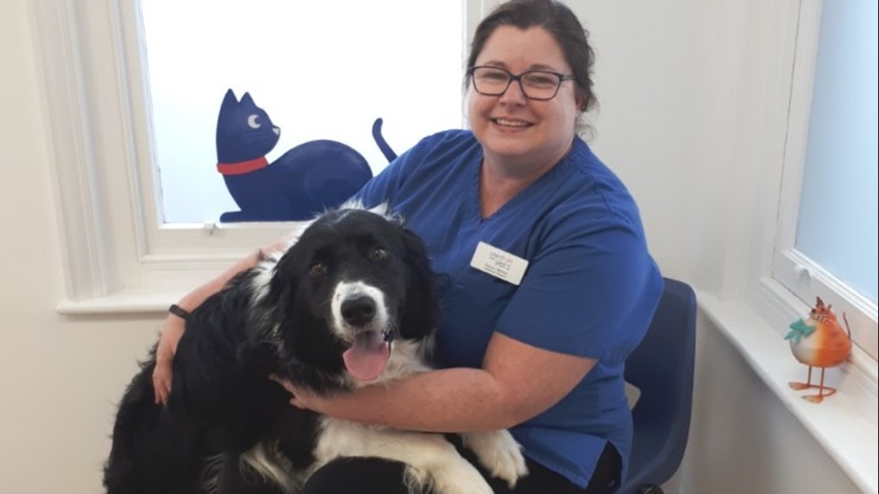 Vet in Weymouth | Open Saturdays | Medivet