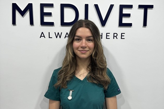 Vet in Chelmsford | Open Saturdays | Medivet