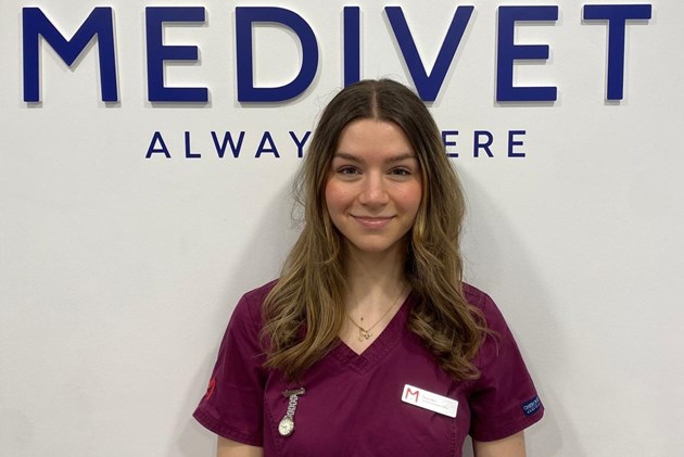 Medivet Chelmsford | Vets In Chelmsford | Vet UK