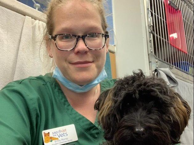 Vet in Pinner | Open Saturdays | Medivet