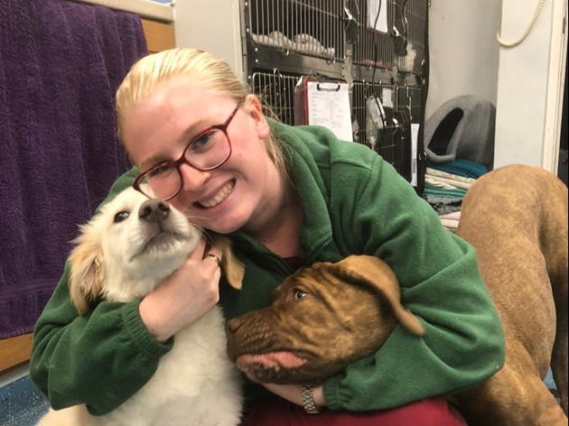 Vet in Pinner | Open Saturdays | Medivet