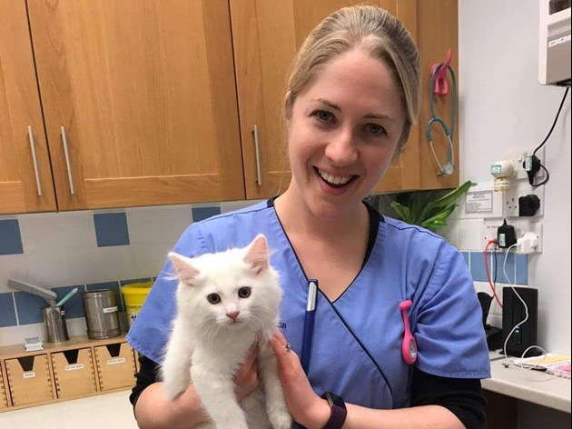 Medivet Pinner | Vets In Pinner | Vet UK
