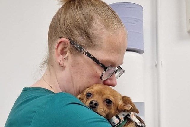 Vet in Pinner | Open Saturdays | Medivet