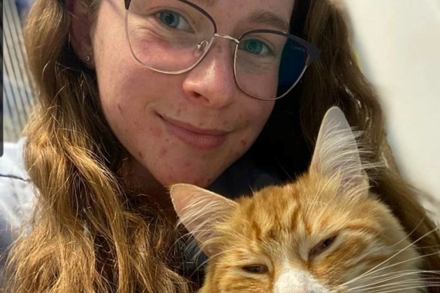 Vet in Pinner | Open Saturdays | Medivet