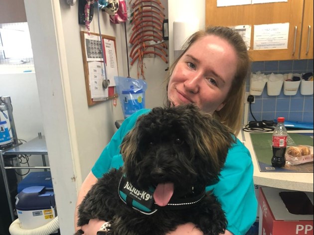 Vet in Pinner | Open Saturdays | Medivet