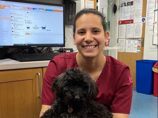 Vet in Pinner | Open Saturdays | Medivet