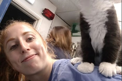 Vet in Pinner | Open Saturdays | Medivet