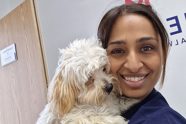 Vet in Pinner | Open Saturdays | Medivet