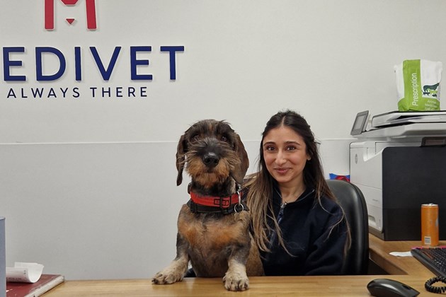 Vet in Pinner | Open Saturdays | Medivet