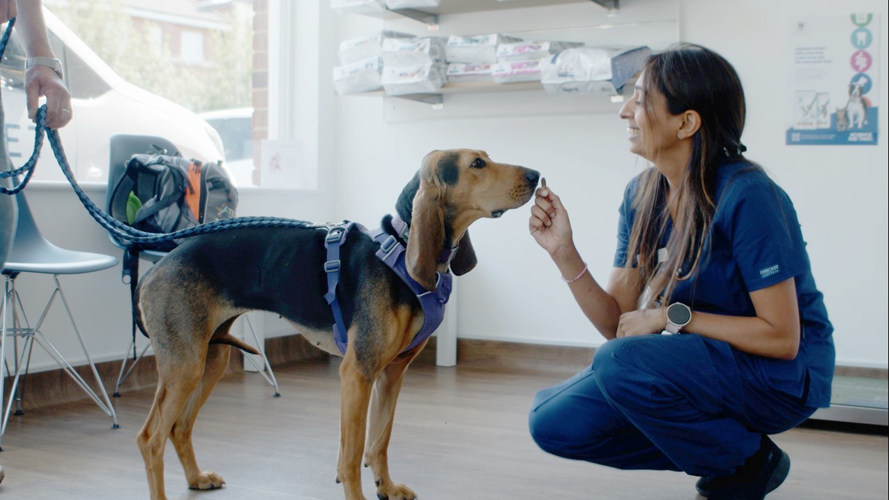 Client Stories | Medivet