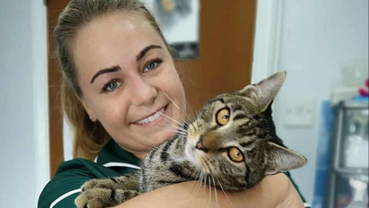 Vet in Stanstead Abbotts | Open Saturdays | Medivet