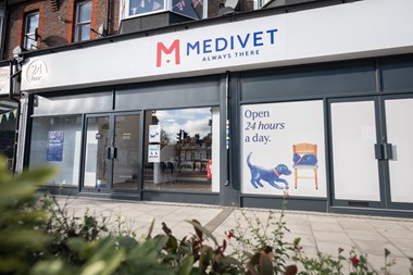 Medivet 24 Hour Watford | Emergency Vets Watford