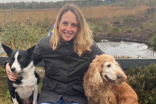 Vet in Ellesmere | Open Saturdays | Medivet