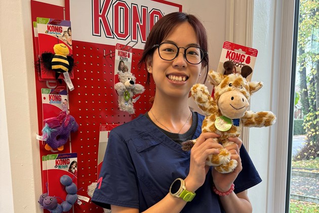 Vet in Lower Earley | Medivet