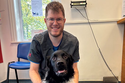 Vet in Lower Earley | Medivet