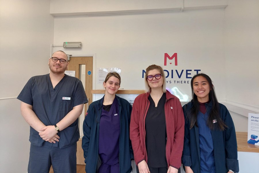 Vet in Muswell Hill | London Vets | Medivet