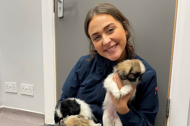 Vet in Fulham | London Vets | Medivet