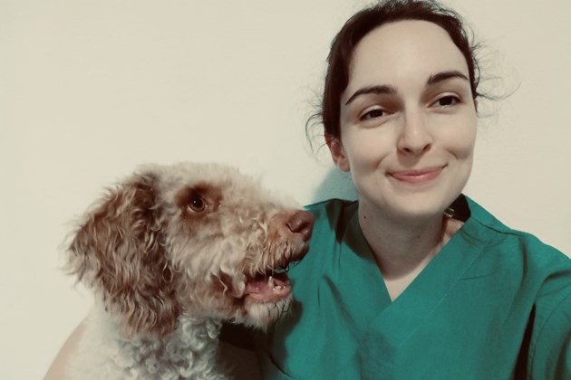 Vet in Fulham | London Vets | Medivet