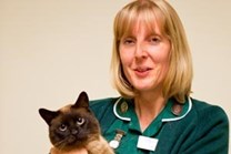 Vet in Redruth | Open Saturdays | Medivet