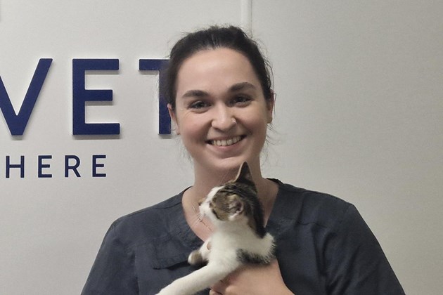 Medivet 24 Hour Faygate | Emergency Vets Faygate