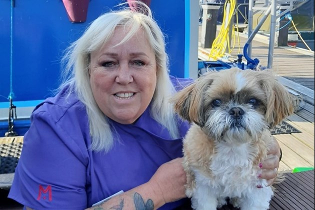 Vet in Bedford | Open Saturdays | Medivet