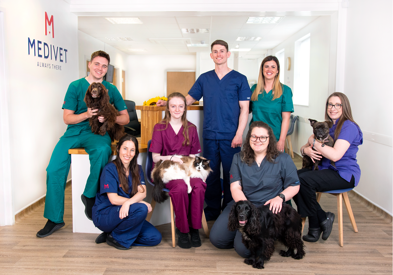 Join us as a Branch Partner | Medivet