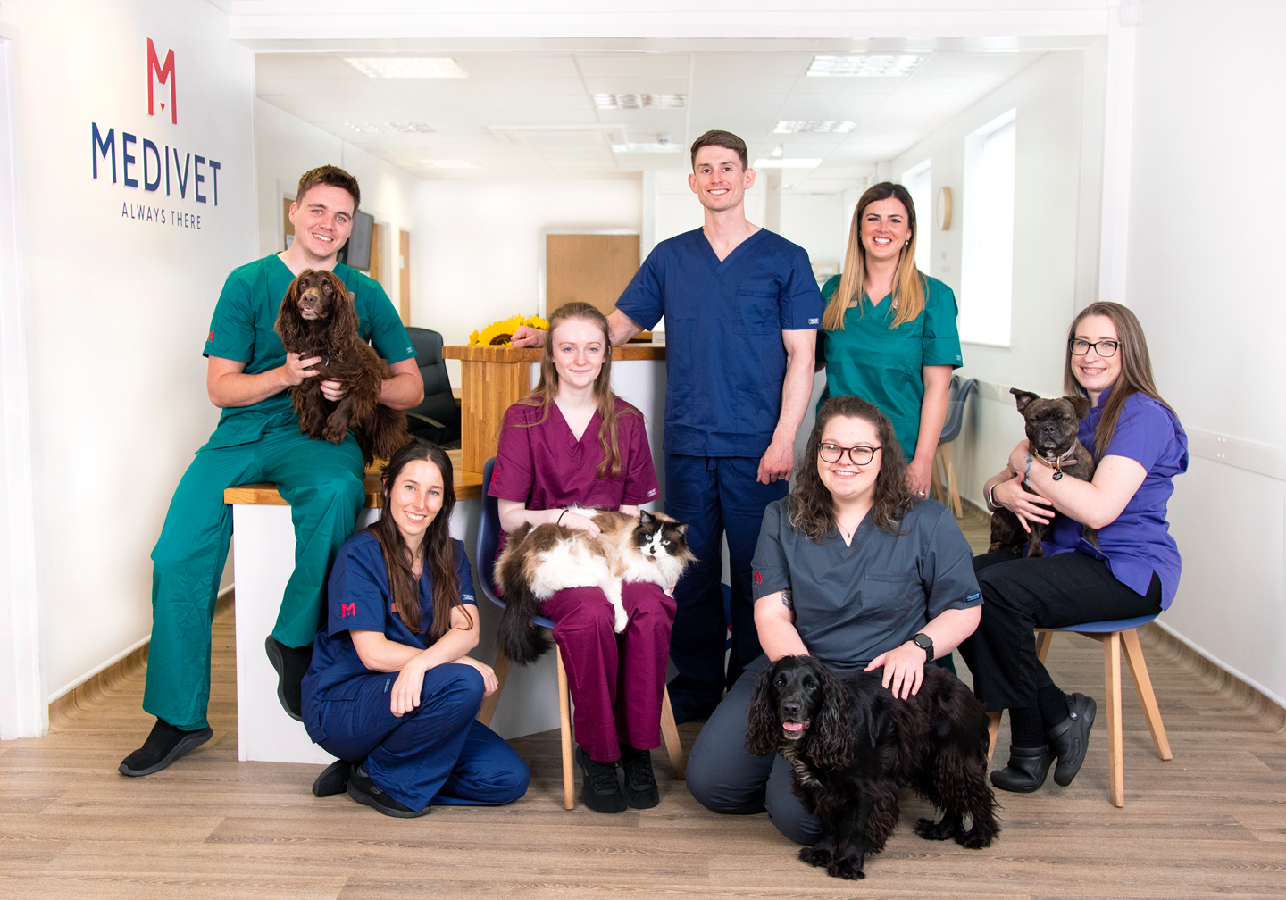 Join us as a Branch Partner | Medivet