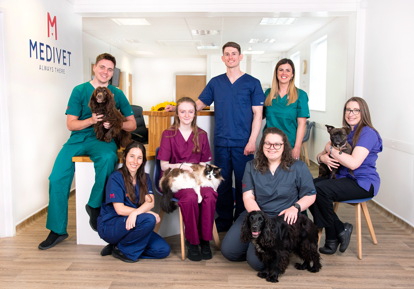 Join us as a Branch Partner | Medivet