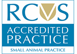 Vet in Sidcup Halfway St | Open Saturdays | Medivet