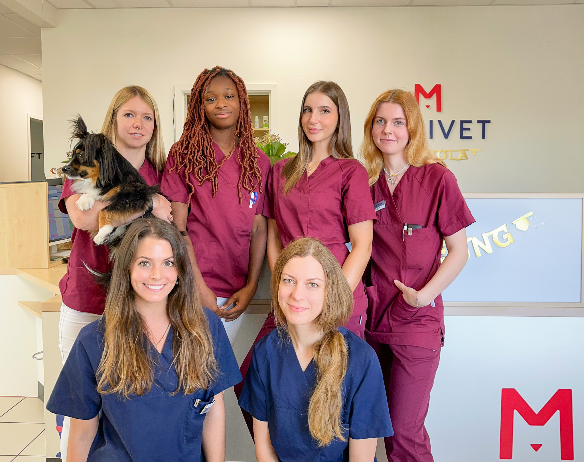 Medivet Farmsen | Tierarzt Farmsen | Medivet