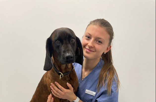 Medivet Hannover | Tierarzt Hannover | Medivet