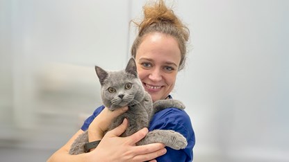 Medivet Münster | Tierarzt Münster | Medivet