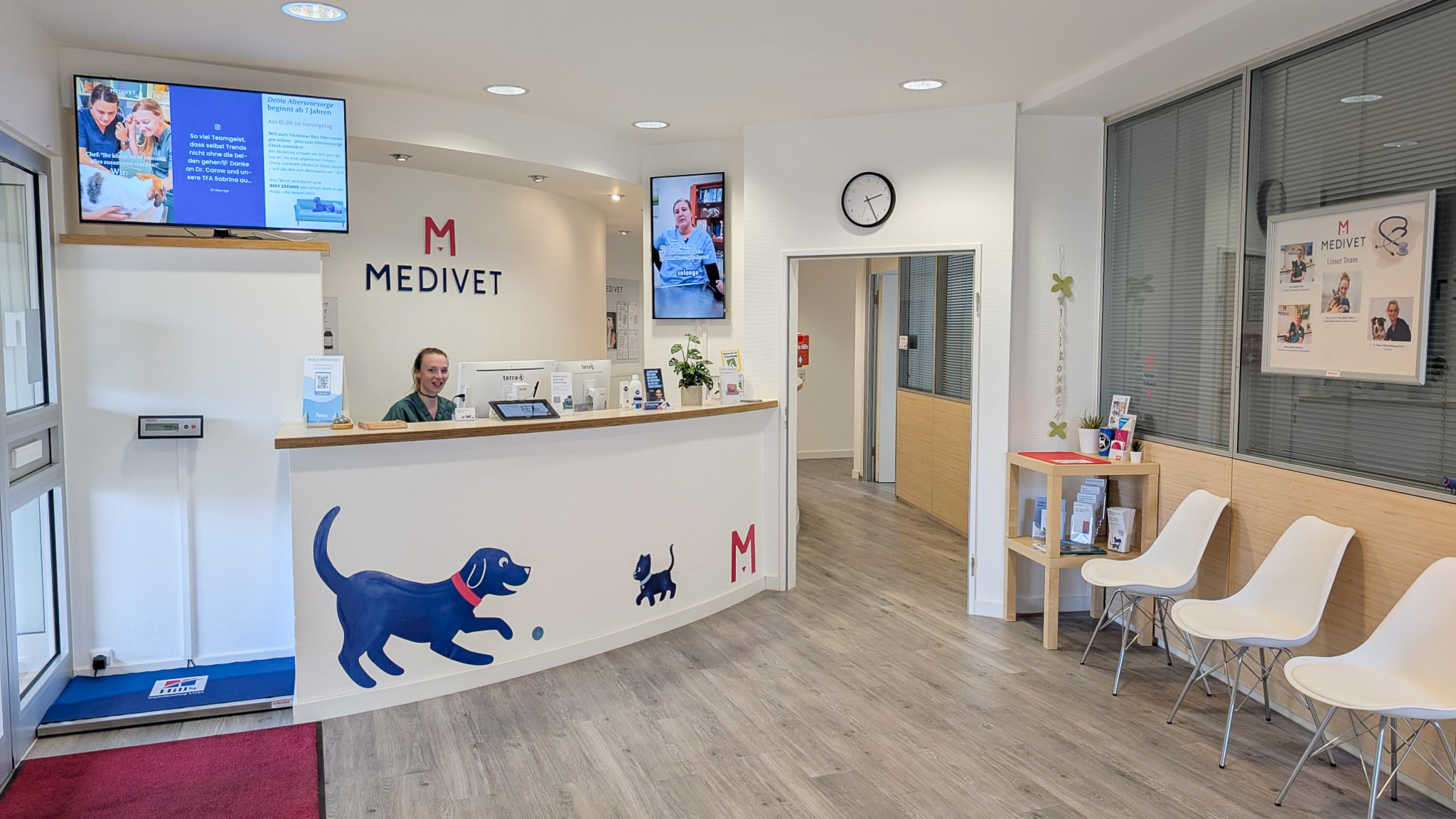 Medivet Münster | Tierarzt Münster | Medivet