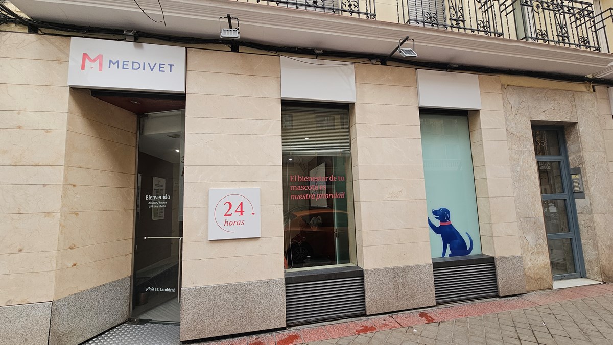 Revisión veterinaria gratis para perros y gatos | Medivet