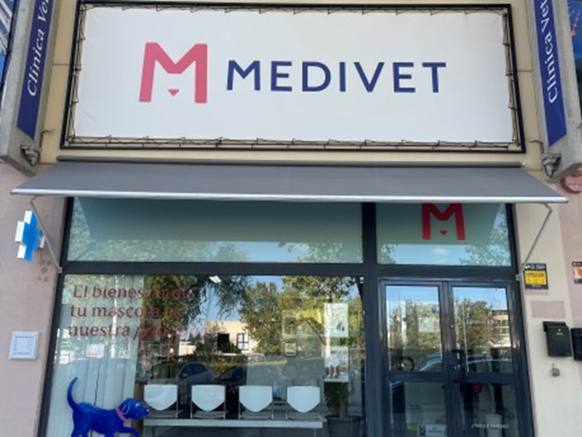 Revisión veterinaria gratis para perros y gatos | Medivet