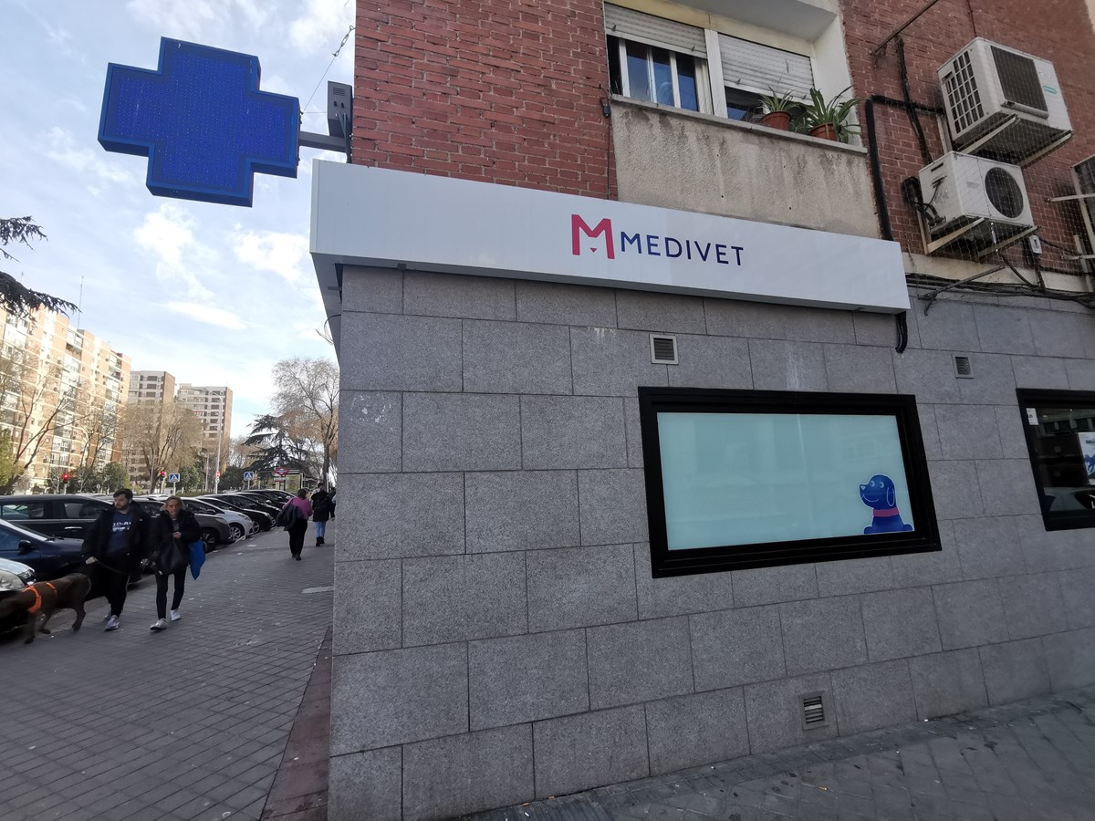 Revisión veterinaria gratis para perros y gatos | Medivet