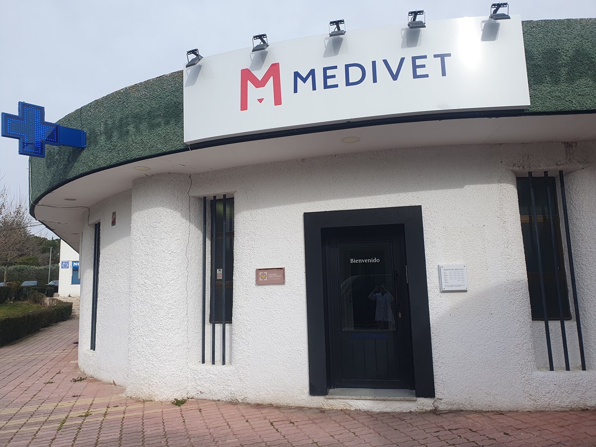 Revisión veterinaria gratis para perros y gatos | Medivet