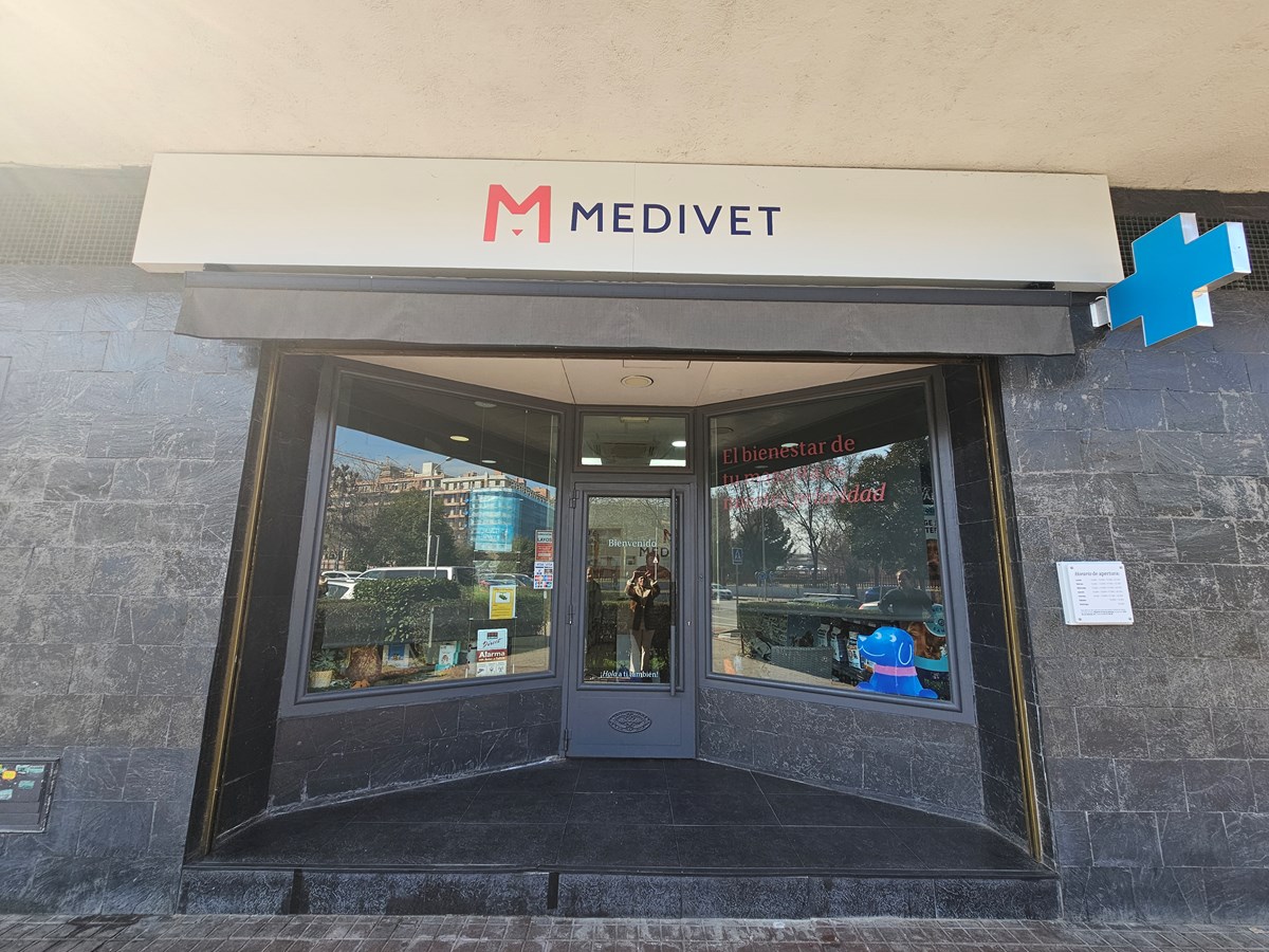 Revisión veterinaria gratis para perros y gatos | Medivet