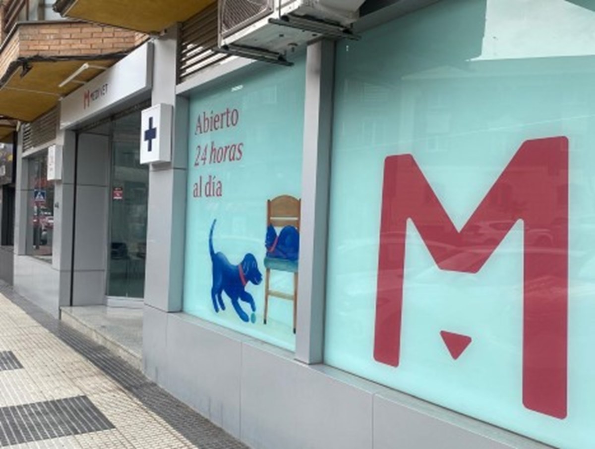 Revisión veterinaria gratis para perros y gatos | Medivet
