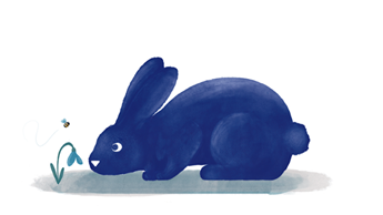 Rabbit Heart Disease | Normal Rabbit Heart Rate | Medivet