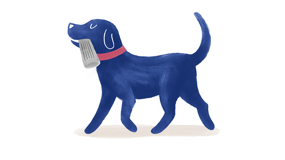 Medivet Dog Health Plan | Medivet UK