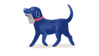Medivet 24 Hour Hendon in London’s Best Vets