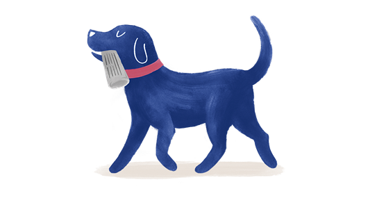 Medivet 24 Hour Hendon in London’s Best Vets