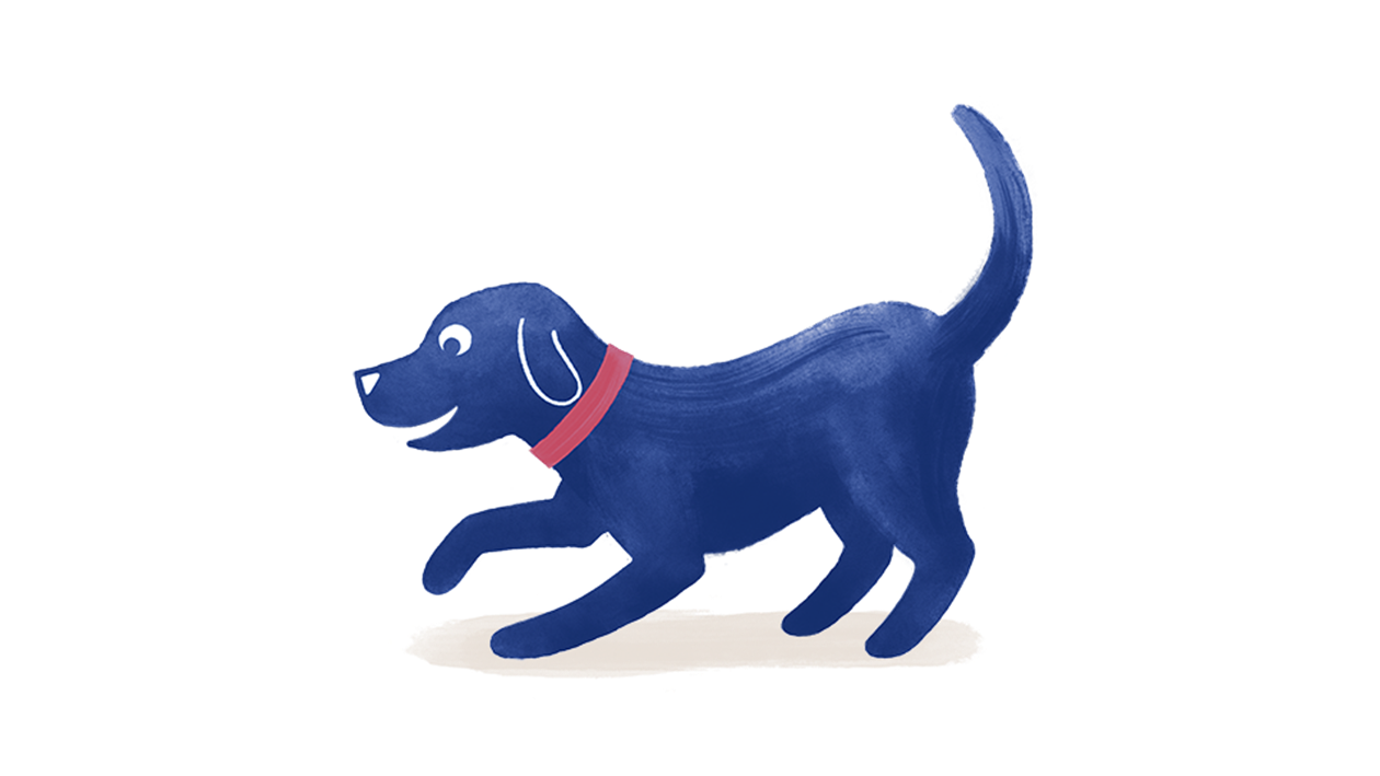 Vet in Bushey Heath | Bushey Vets | Medivet