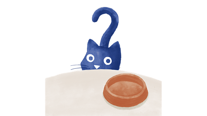 Most Common and Popular Cat Breeds in the UK | Medivet