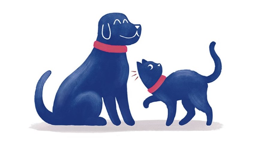 RCVS Practice Standards Scheme