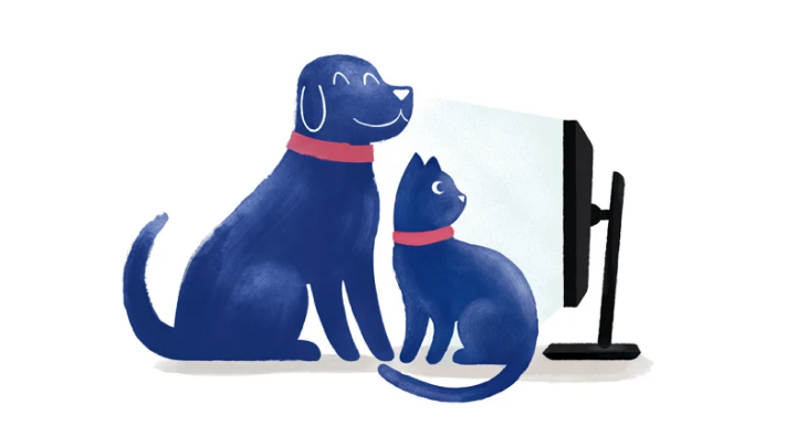 Medivet Sutton Farm | Shrewsbury Vets | Vet UK